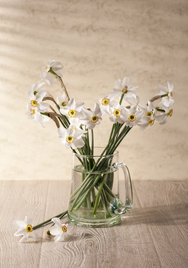 Still life with daffodils stock image. Image of mood - 112552479