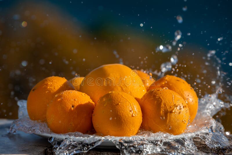 Still Life Eight Oranges with Water Drops on White Plate with Water ...