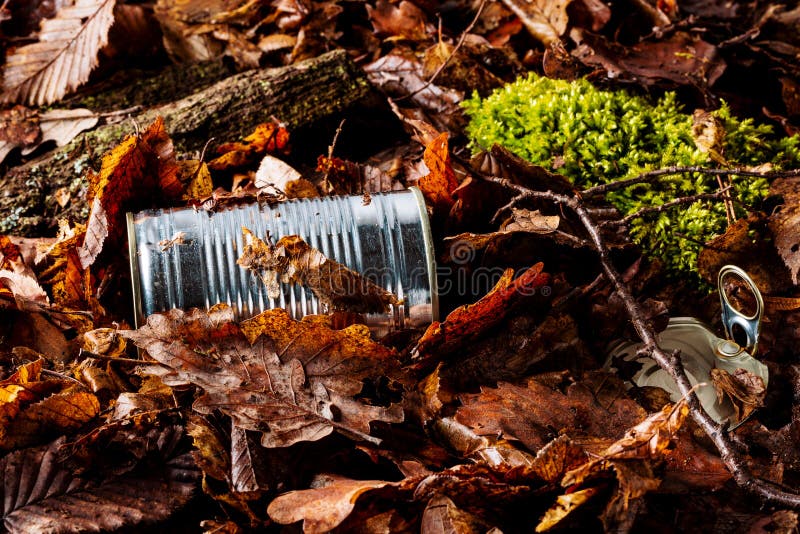 Tin Can Waste on Forest Floor Closeup Stock Photo - Image of earth ...