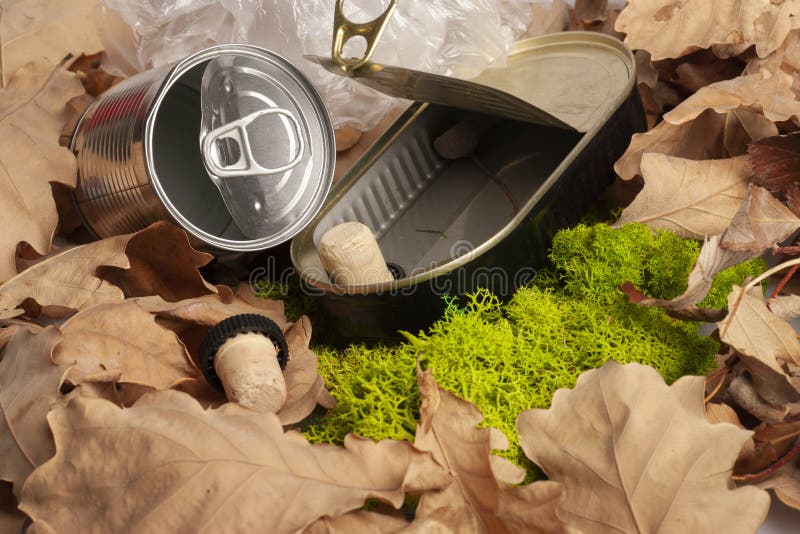 Still Life of an Empty Used Tin Can with Lid and Pull Waste on Forest ...