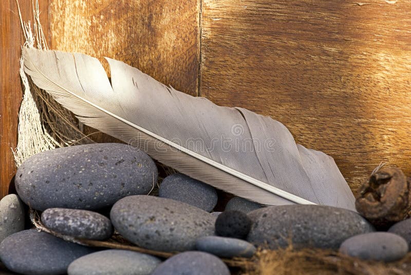 Still life with feather stock image. Image of space, feather - 10992509