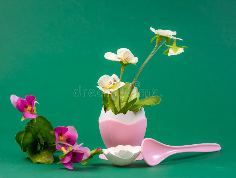 Still Life with Flower Growing Out of an Eggshell Stock Image - Image ...