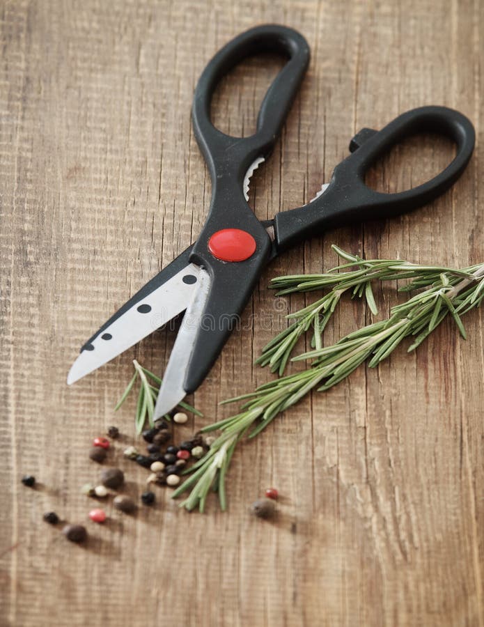 Still Life with Fresh Rosemary and Scissors Stock Image - Image of ...