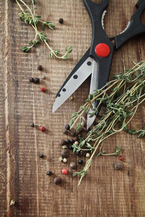 Still Life with Fresh Thyme and Scissors Stock Image - Image of kitchen ...