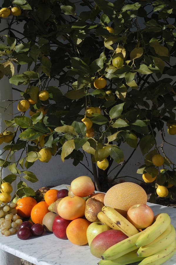 Still Life of Fruit with Sunlight, Stock Image - Image of environmental ...