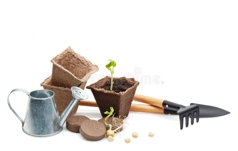 Seedlings and Gardening Tools Stock Photo - Image of fresh, care: 138156896