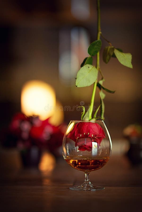 Still Life with Glass of Cognac and a Rose Stock Photo - Image of ...