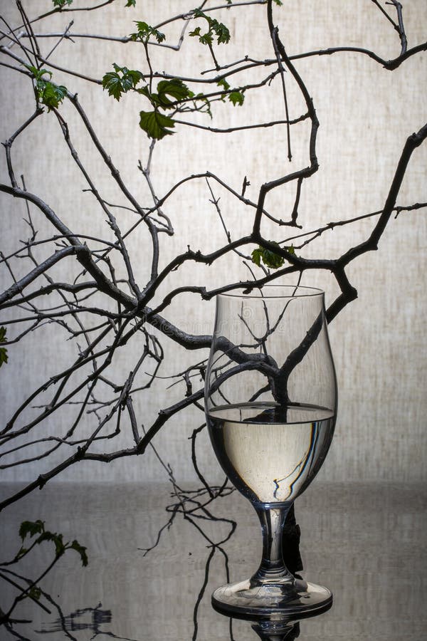 Still Life with a Glass and a Tree Branch Stock Photo - Image of mood ...