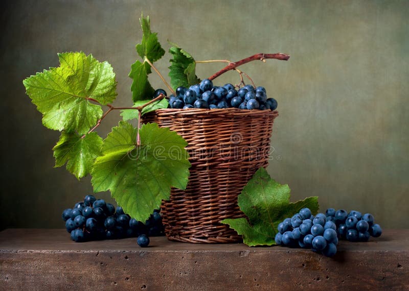 Still life with grapes stock image. Image of still, stylization - 45919457