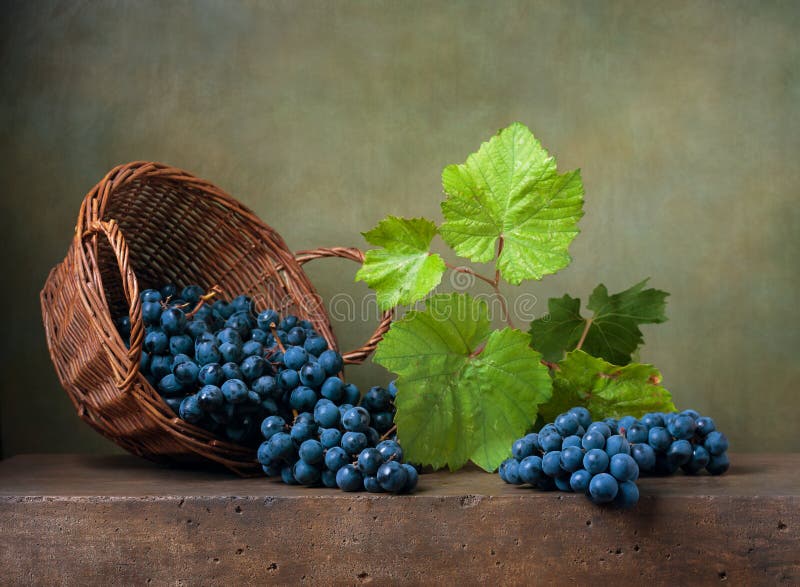 Still Life with Grapes on a Basket Stock Photo - Image of stylization ...