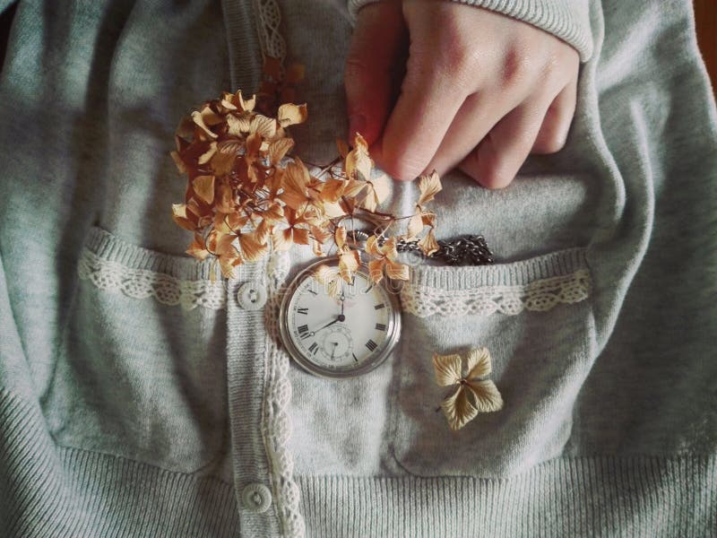 Still life stock image. Image of still, hand, holding - 125595421