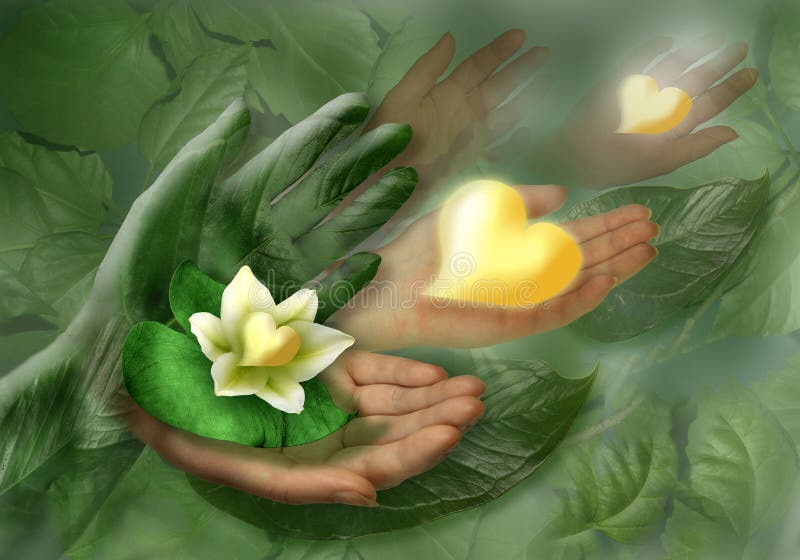Still-life with Hands, Leaf and Flower As Heart Stock Photo - Image of ...