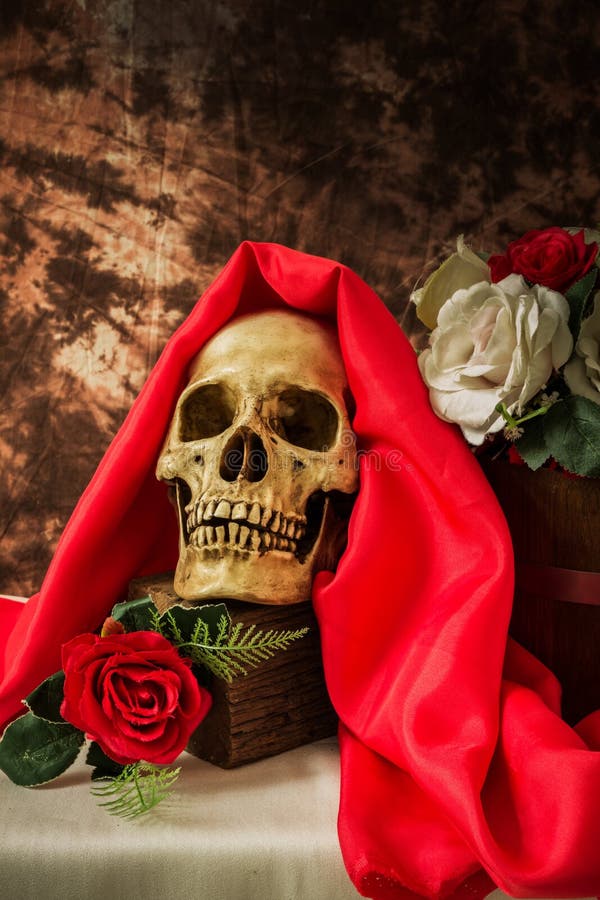 Still Life with Human Skull with Red Rose and White Rose Stock Image ...