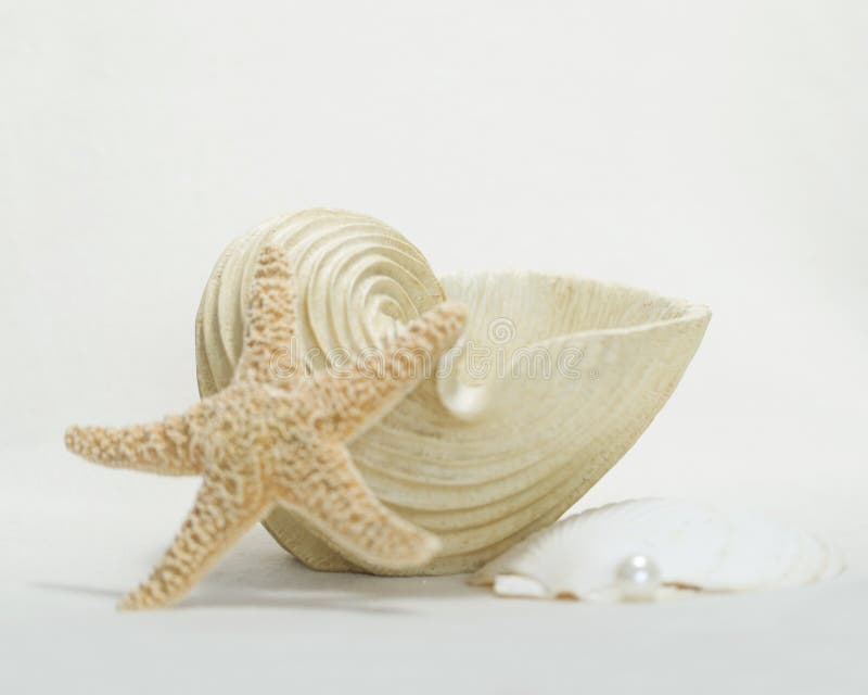 Conch Shell, Starfish, Pearl, Sand Stock Image - Image of star, still ...