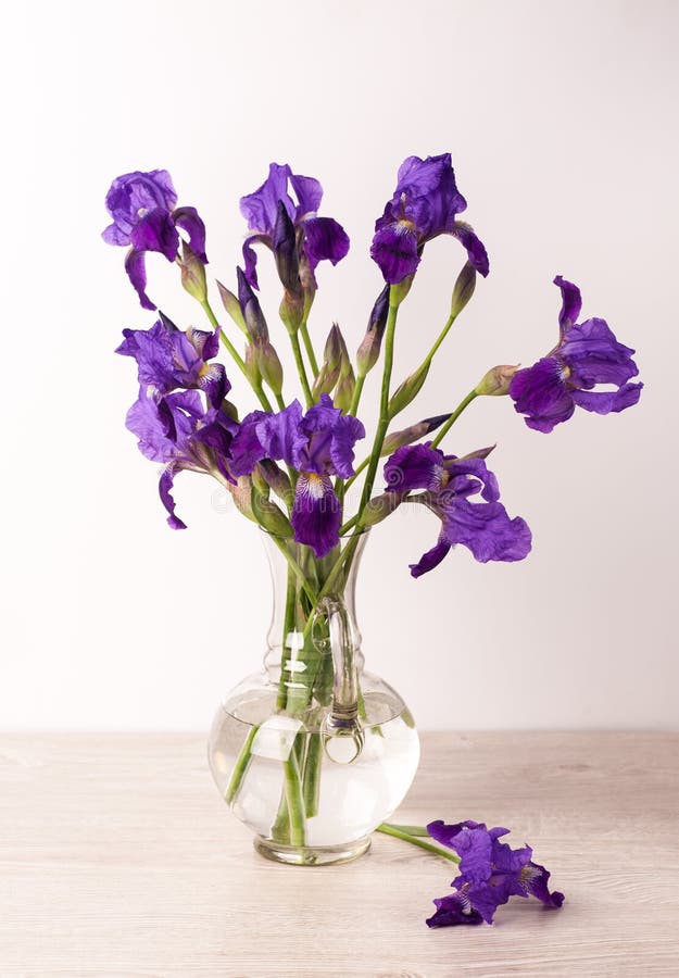 Still life with iris stock photo. Image of nature, card - 112732570