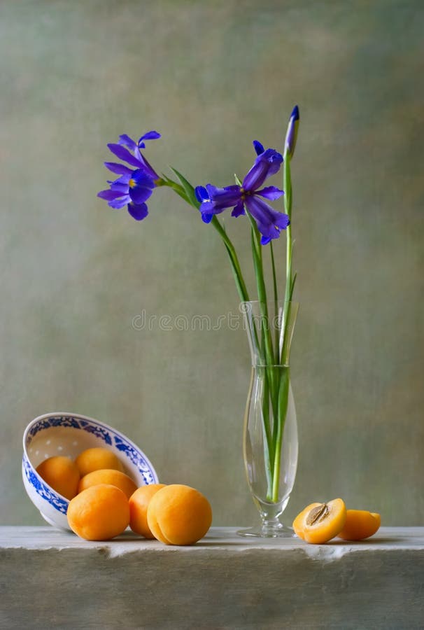 Still life with irises stock image. Image of vase, fruit - 25567863