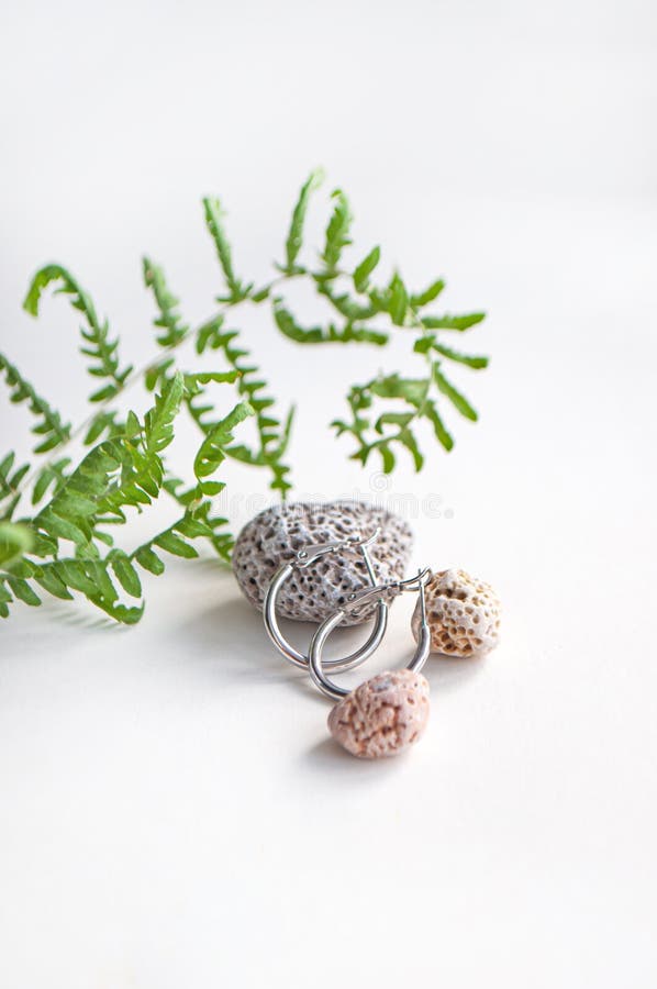 Still Life of Natural Objects. Stock Photo - Image of macro, decoration ...