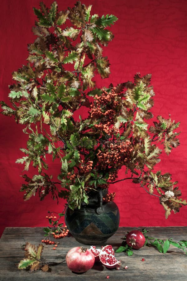 Still Life with Oak Branches Stock Image - Image of still, beauty: 27411623