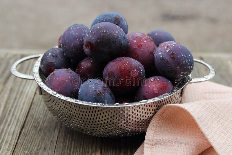 Still Life of Plums in the Garden Stock Photo - Image of healthy ...