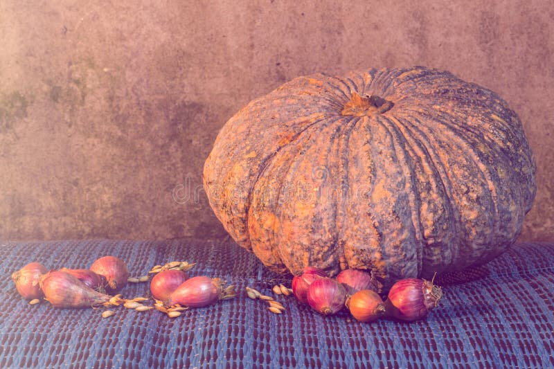 Still Life - Pumpkin, Shallots and Pumpkin Seeds Stock Image - Image of ...