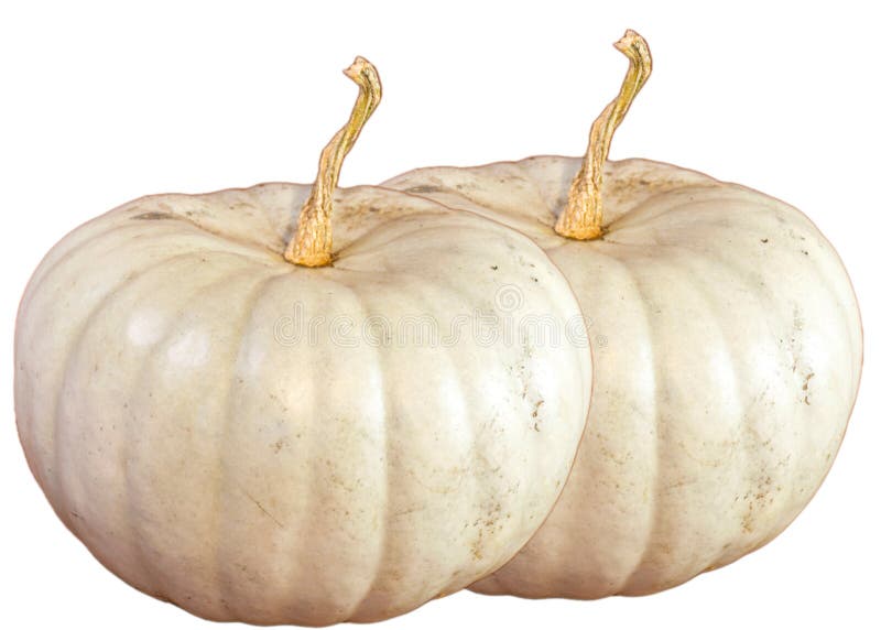 Still Life with Pumpkins, Photo of Pumpkins Stock Photo - Image of ...