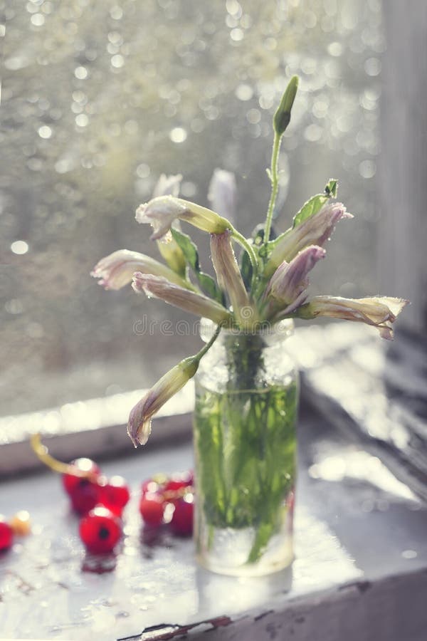 Still life after rain stock image. Image of flowers - 189616781