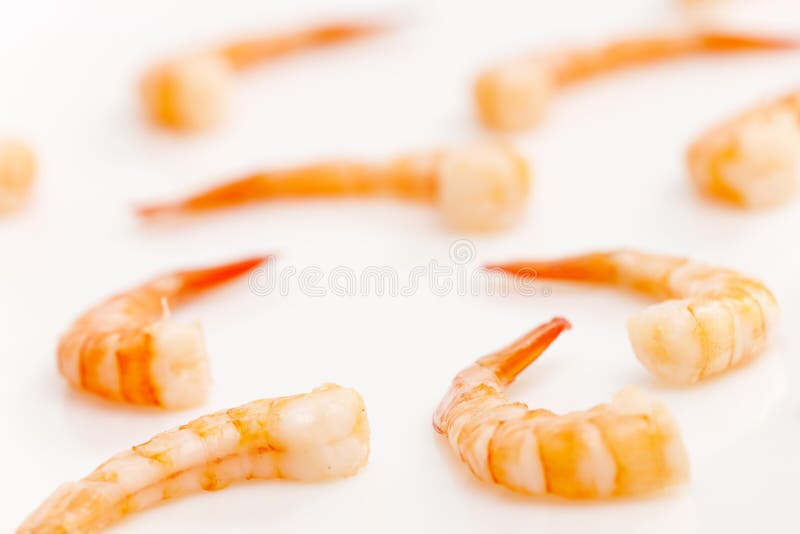 Still life of raw prawns stock photo. Image of still - 174179122