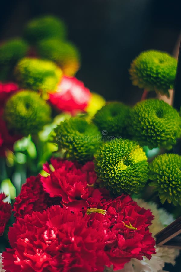 Still Life with Red Green Bouquet on the Dark Background Stock Photo ...