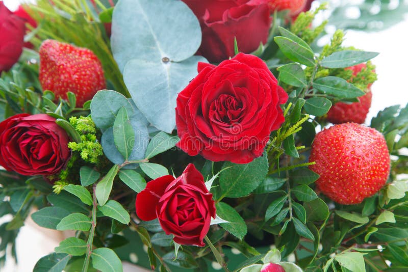 Still Life with the Red Roses and Ripe Strawberry Stock Photo - Image ...