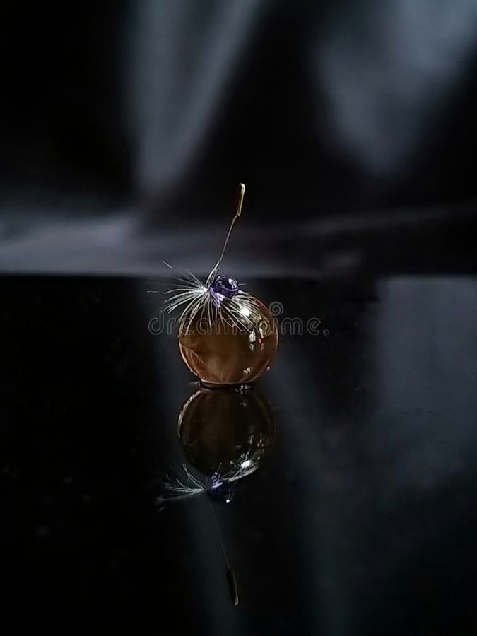 Reflektio Stock Photos - Free & Royalty-Free Stock Photos from Dreamstime