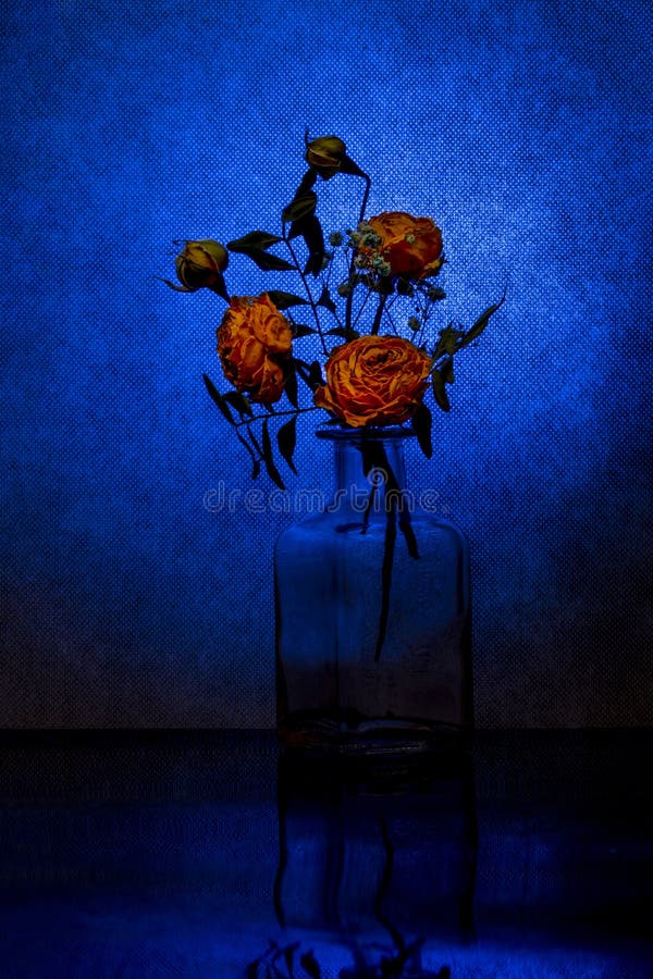 Still Life with Roses on a Blue Background Stock Photo - Image of table ...