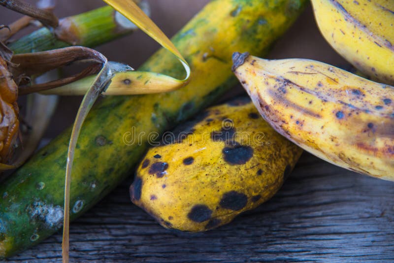 Still life rotten fruit stock image. Image of natural - 95060319