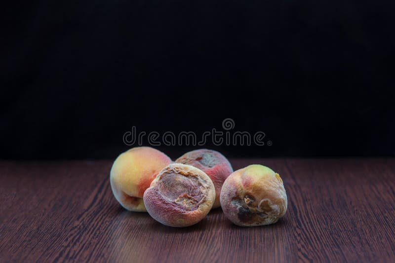 Rotten Peaches Stock Photos - Free & Royalty-Free Stock Photos from ...