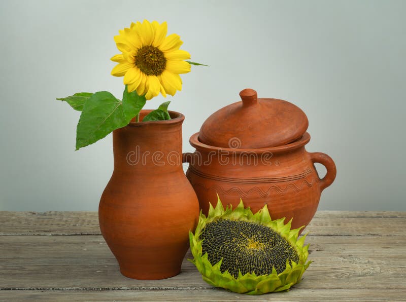 Still Life with Rustic Pottery and Blooming and Ripe Sunflowers Stock ...