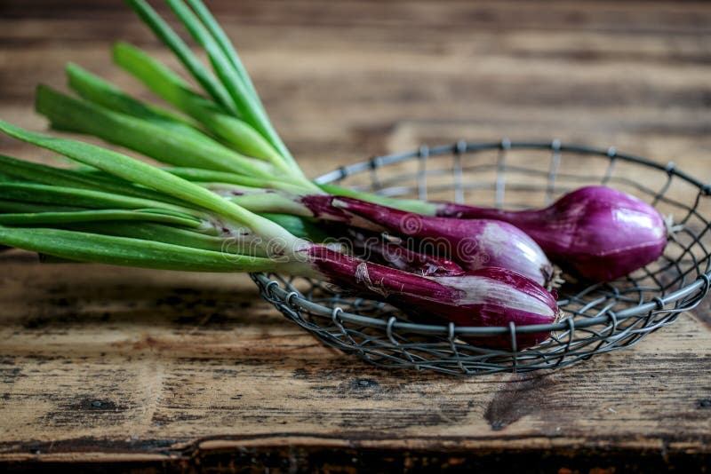 Still Life with Scallions stock image. Image of dark - 149263299