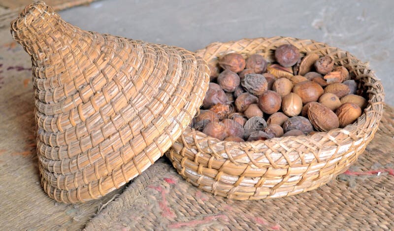 Still Life from the Seed of Argan Oil in Morocco Stock Photo - Image of ...