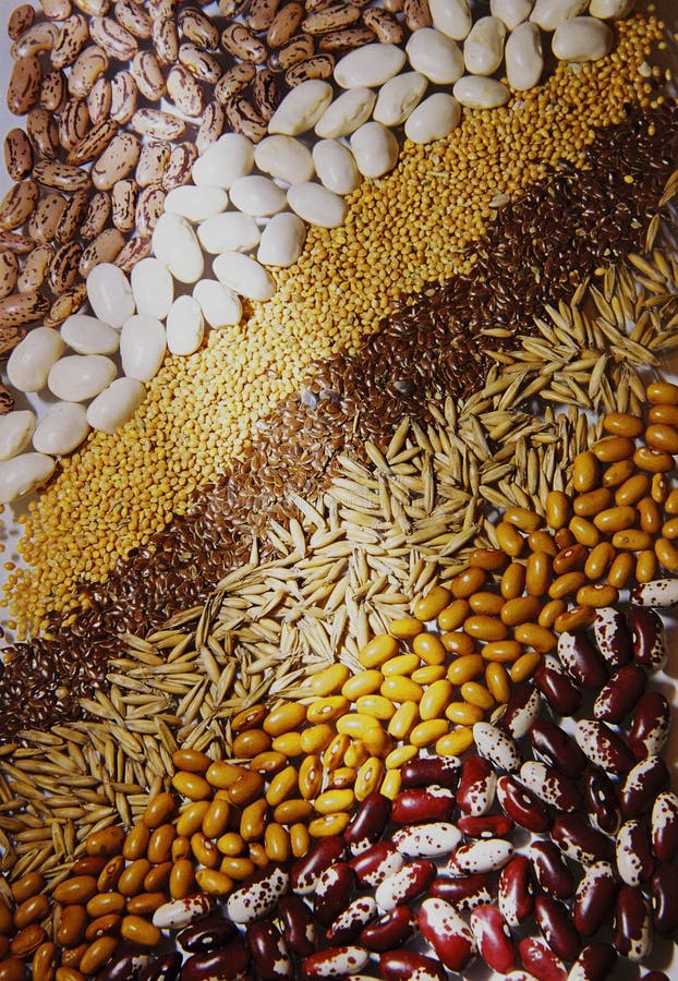 Still-life from seeds stock photo. Image of strips, beans - 5826184