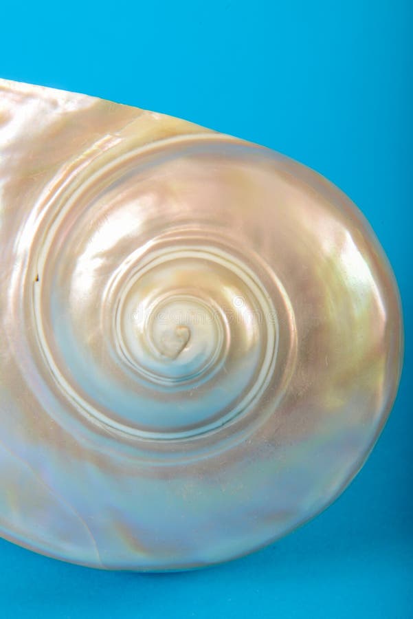 228 Blue Life Star Vector Stock Photos - Free & Royalty-Free Stock ...