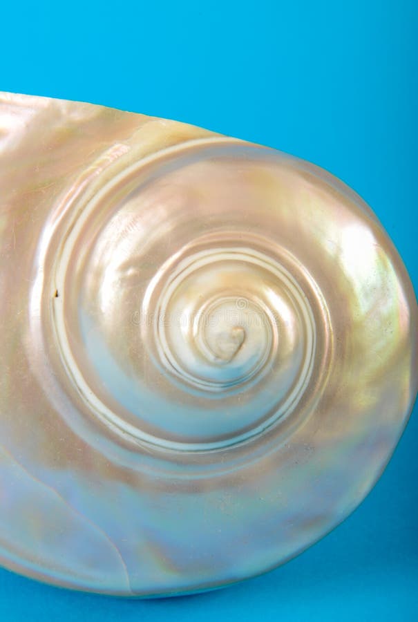 228 Blue Life Star Vector Stock Photos - Free & Royalty-Free Stock ...