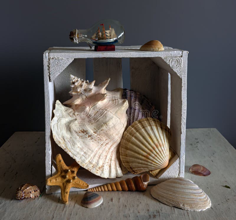 Still Life with Shells and a Boat. a Reminder of Rest and Travel Stock ...