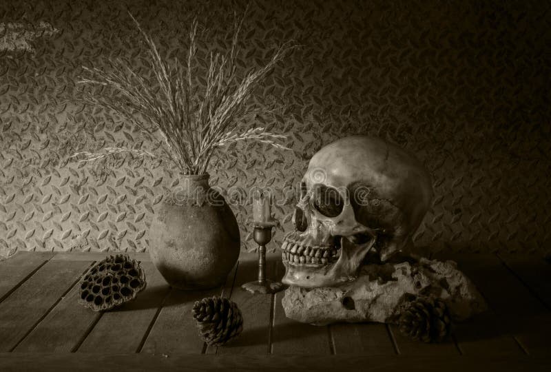 Still Life with a Skull. stock image. Image of retro - 40170753