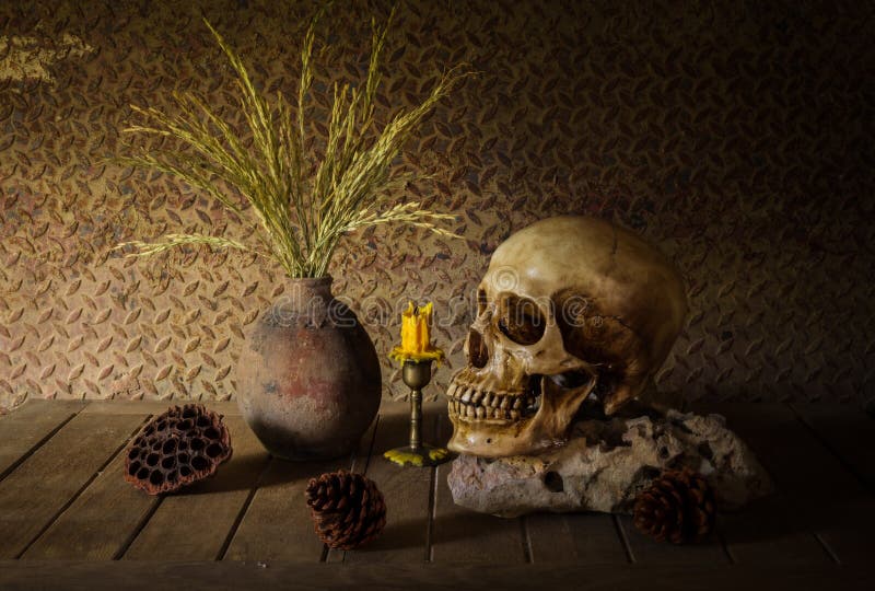 Still Life with a Skull. stock photo. Image of cadaver - 44781820