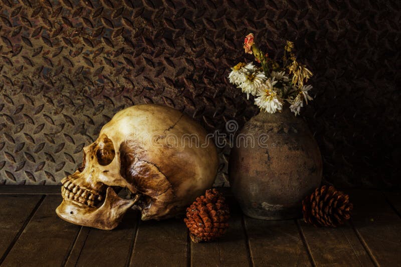 Still Life with a Skull. stock photo. Image of aged, halloween - 44782048