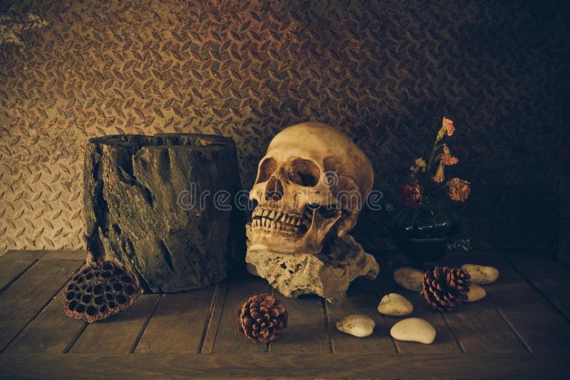 Still Life with a Skull. stock photo. Image of abstract - 46784828