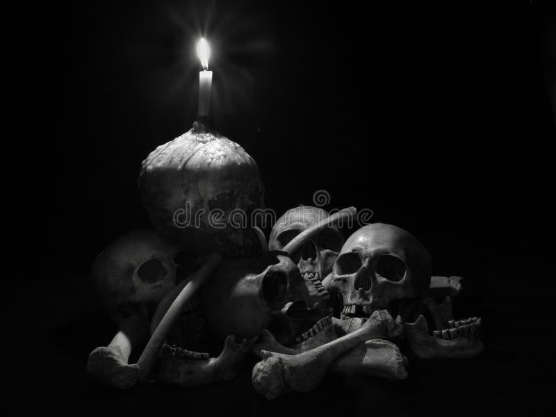 Still life skull stock image. Image of abstract, bone - 81283497