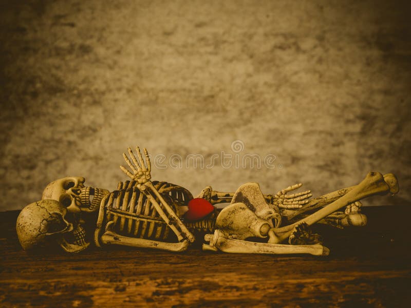 Still life of skull stock image. Image of life, bone - 77607311