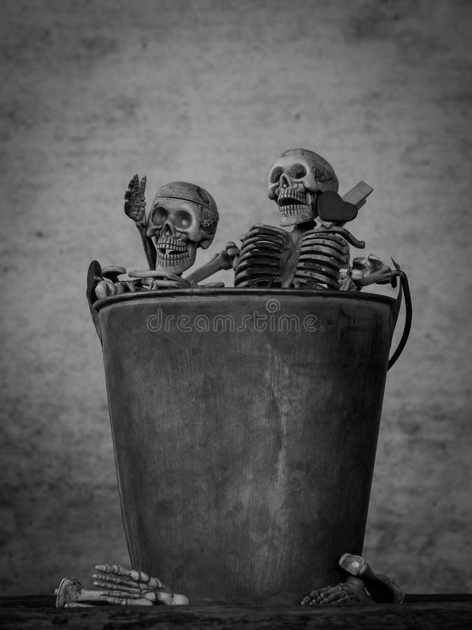 Still life of skull stock photo. Image of graveyard, biology - 78089536