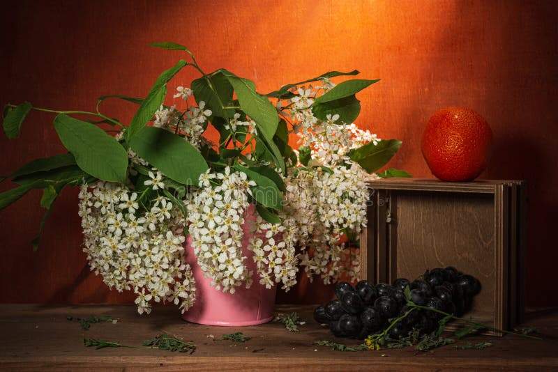 Still life- spring bouquet stock photo. Image of beauty - 147848750