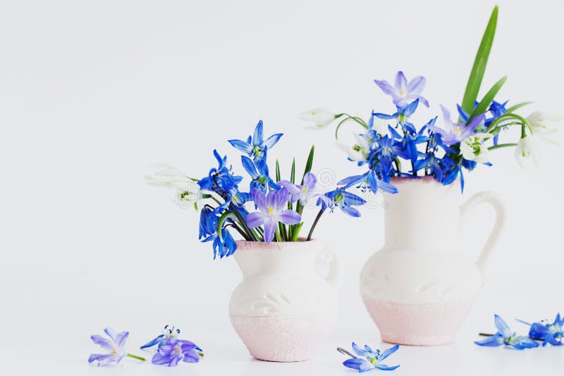 Still Life with Spring Flowers Stock Image - Image of bluebell ...