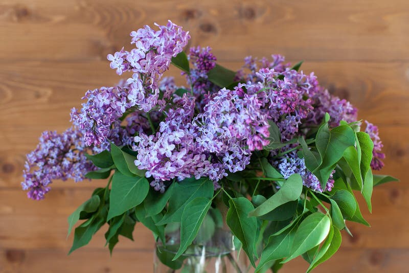 Still Life with Spring Flowers on Light Background Stock Image - Image ...